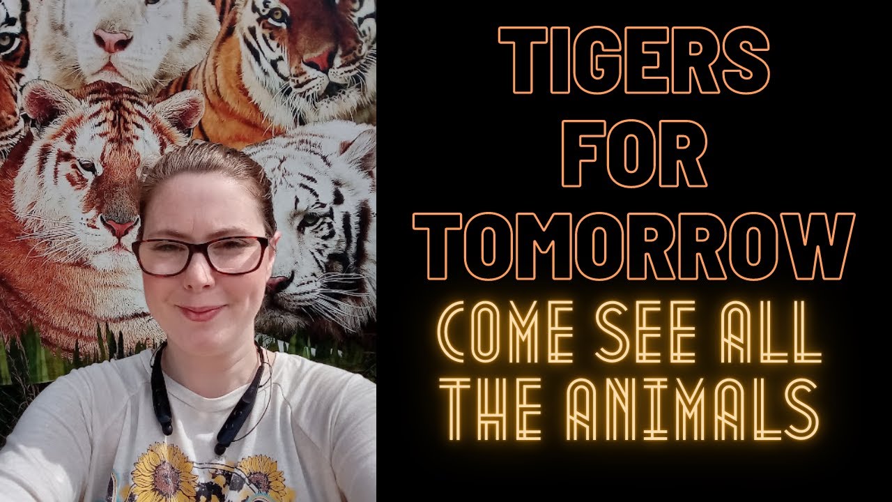 SO MANY ANIMALS @ Tigers for Tomorrow - YouTube