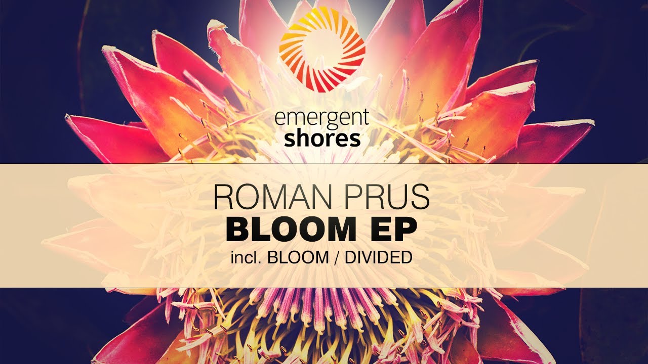 Roman Prus - Divided [Emergent Shores] - YouTube