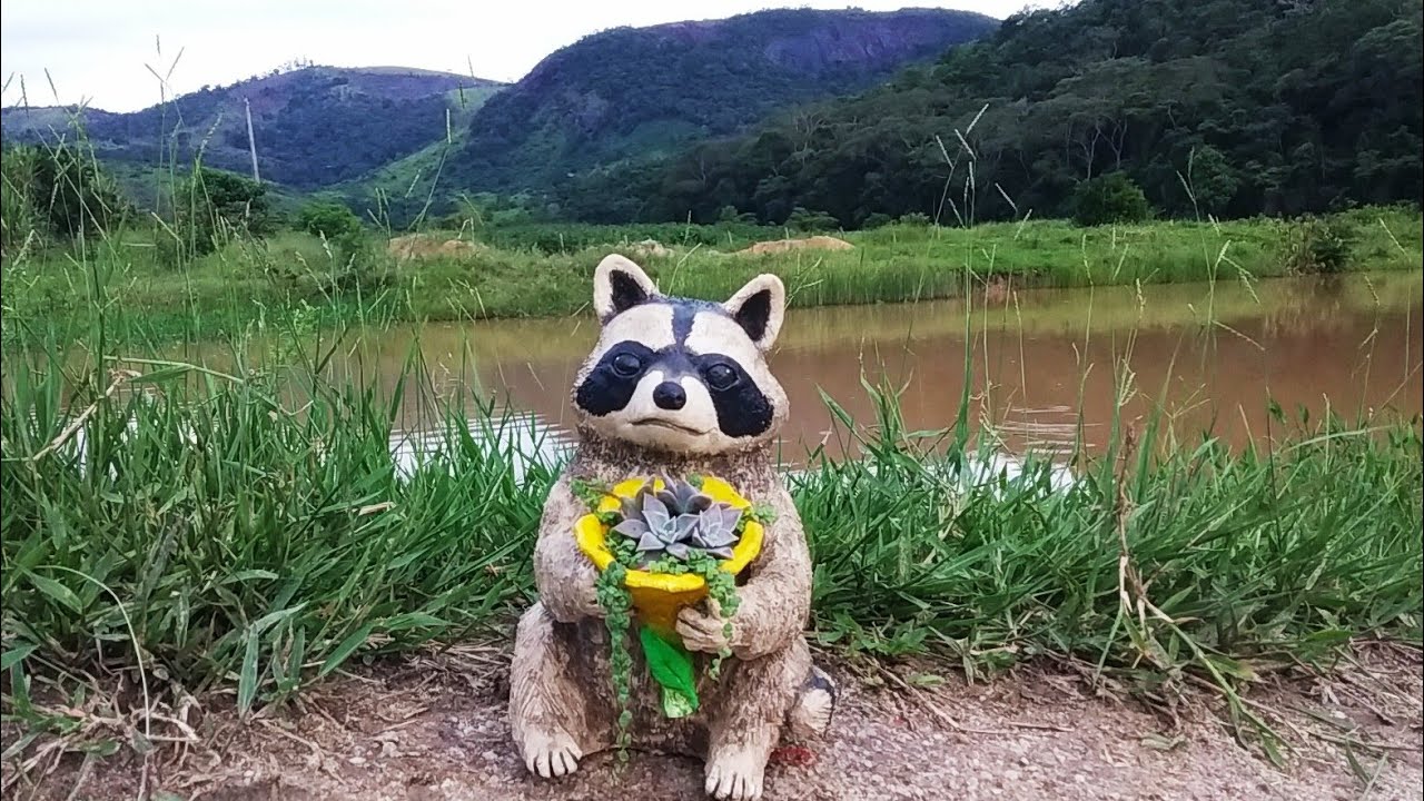 Como Fazer Um Lindo Guaxinim Com Cimento E Reciclagem - YouTube