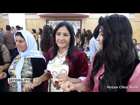 Hozan Cihat Welat - Tev Narinê 2020 Kürtçe Halay Şarkısı