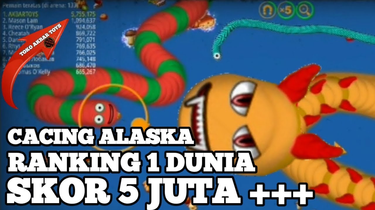 GAME CACING ALASKA RANGKING 1 (SATU) DUNIA || Part 2 - YouTube