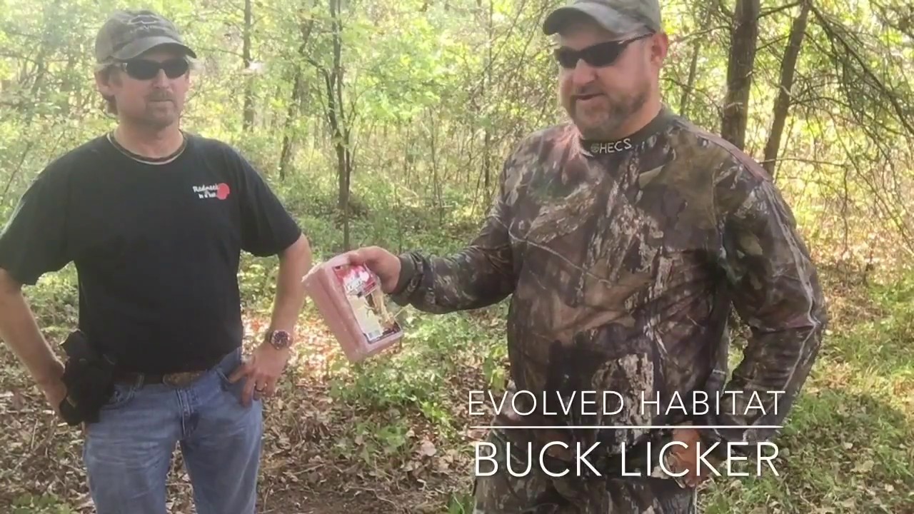 Mineral block for whitetail - YouTube