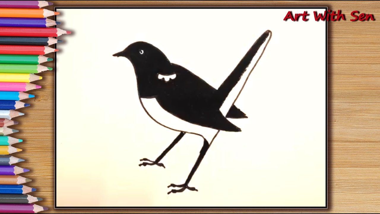 how to draw a magpie robin step by step || doyel pakhi drawing ...