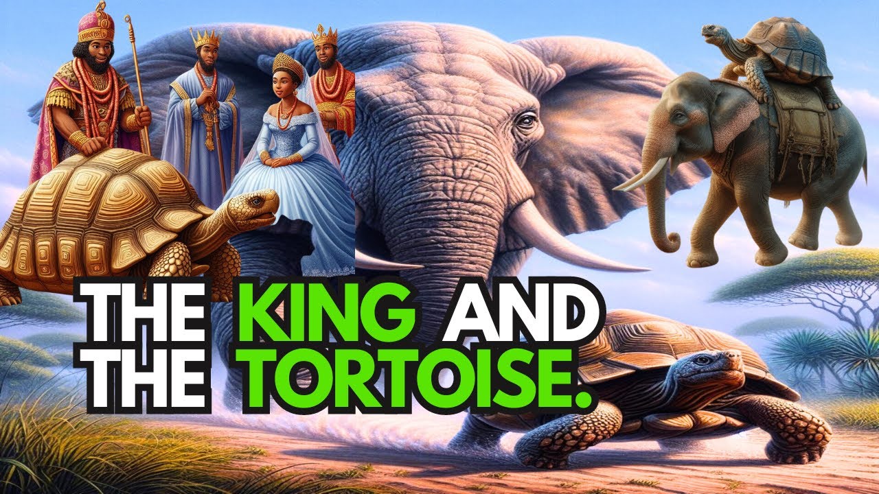 THE CUNNING TORTOISE WIN THE HEART OF THE PRINCESS BY OUTSMARTING AN ...