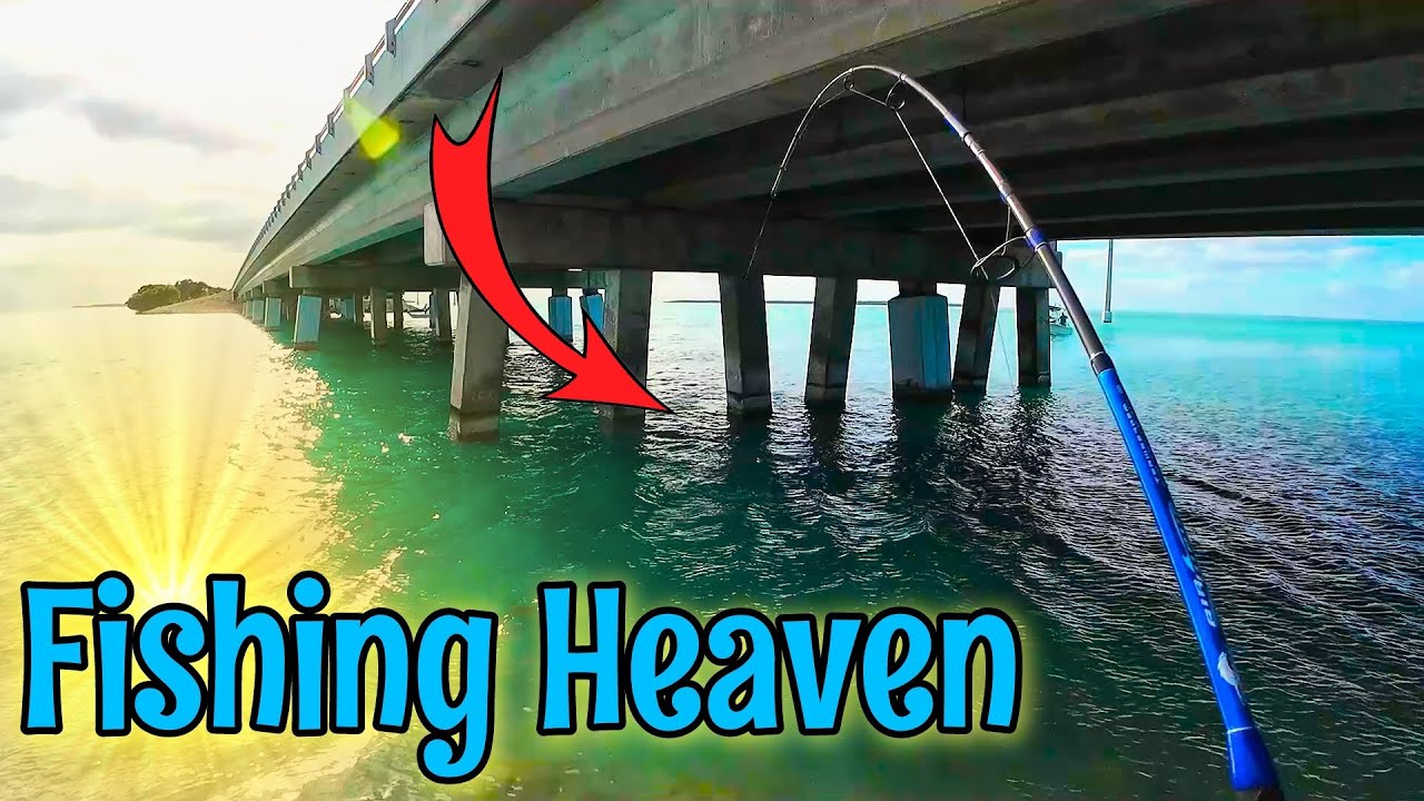 Florida Keys Fishing Underneath ALL the Bridges (NON-STOP Action) - YouTube