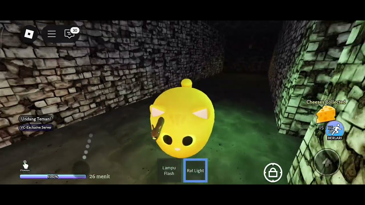 Roblox Nightmare Run Rat Light. - YouTube