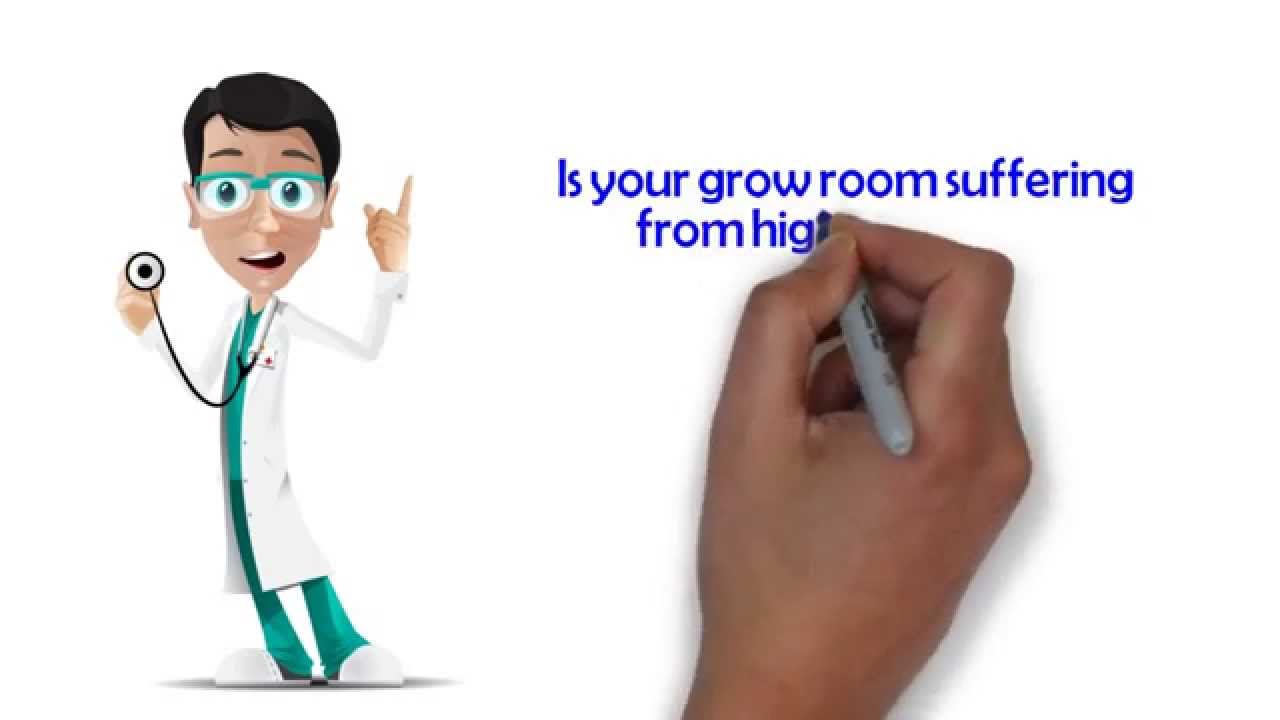 Stop Bud Rot With Stop The Rot Bags - YouTube