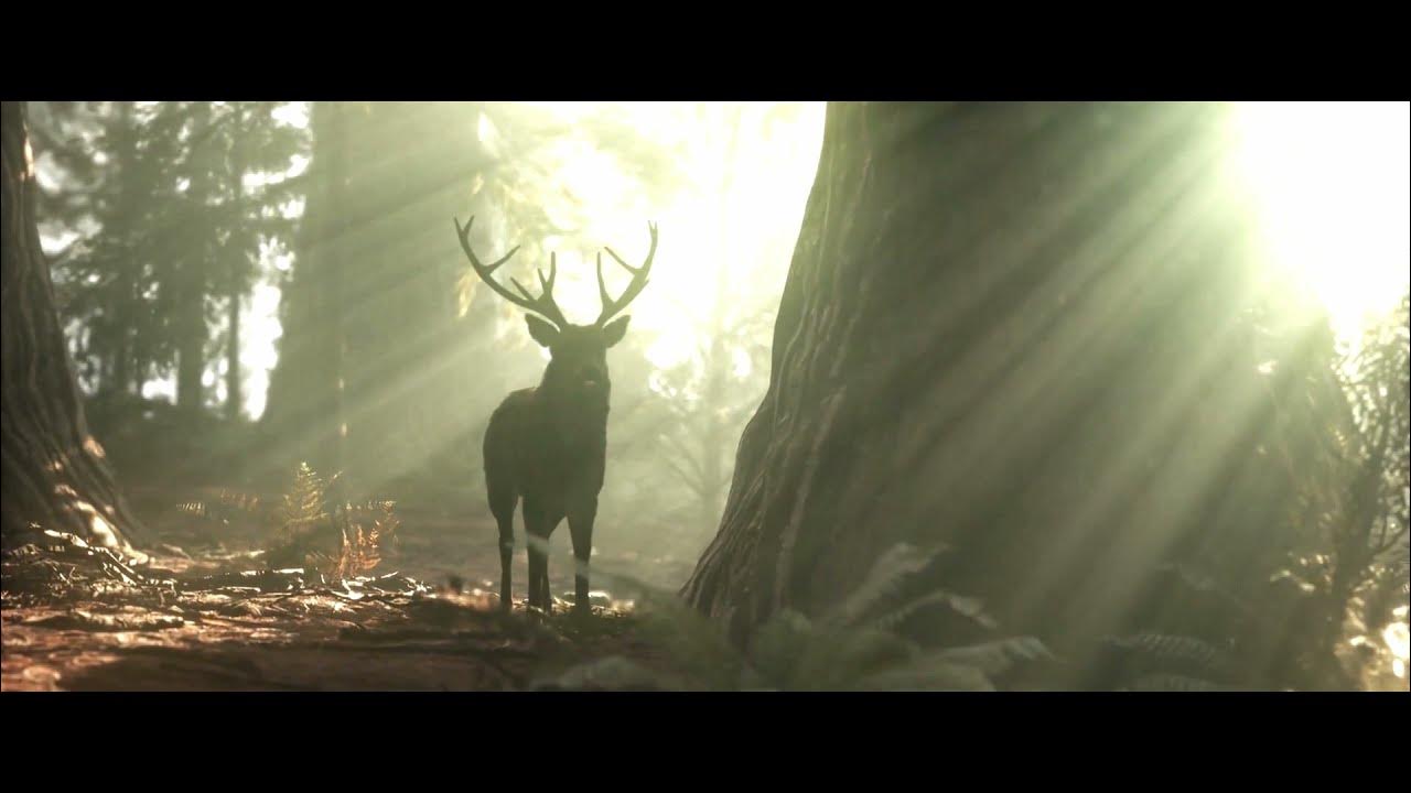 RIOPY - Fixed Point In Time (Official Music Video) - YouTube Music