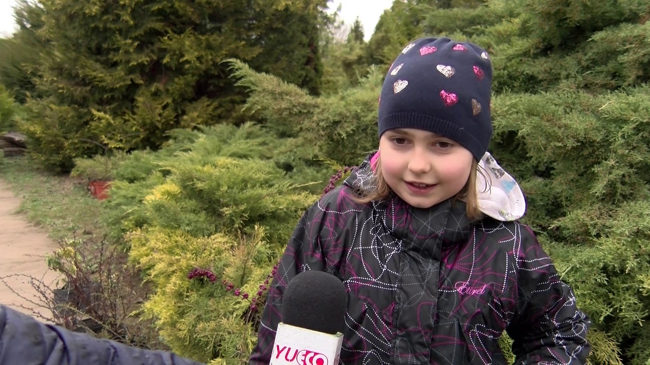 Učenici OŠ "Kizur Ištvan" posetili Goranski rasadnik - YouTube