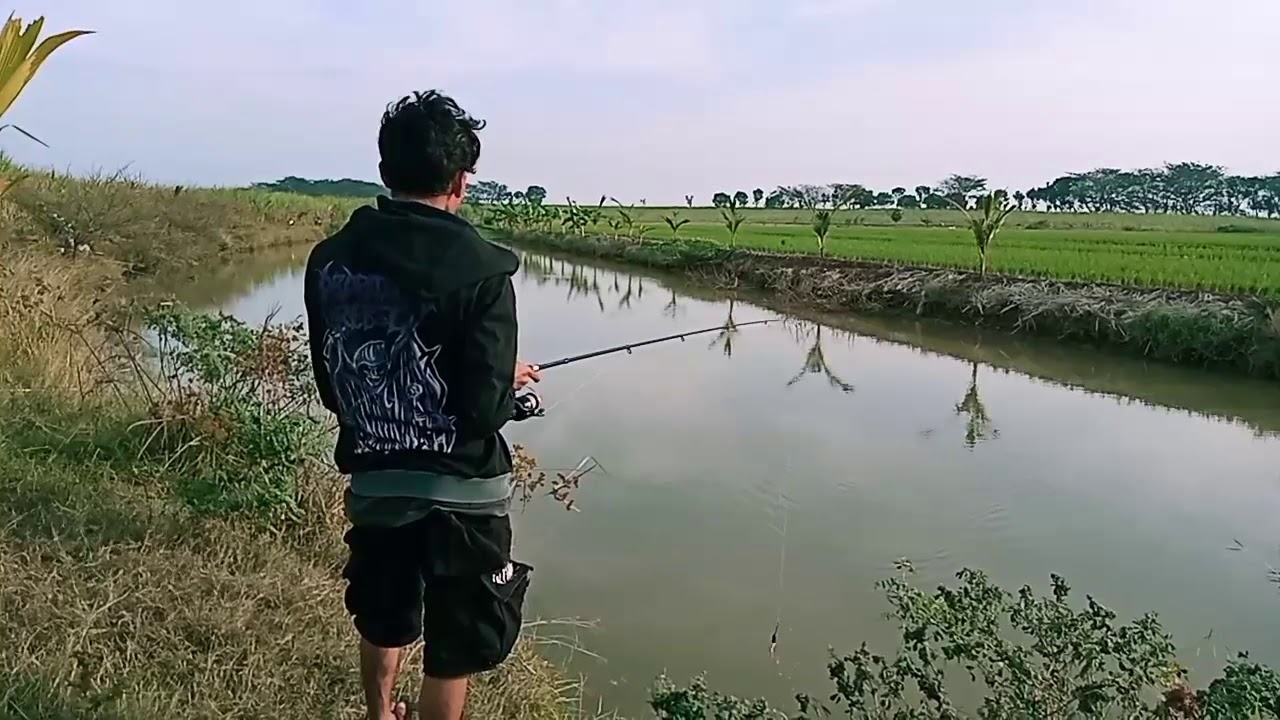 Petuwalangan mancing di kalbun - YouTube