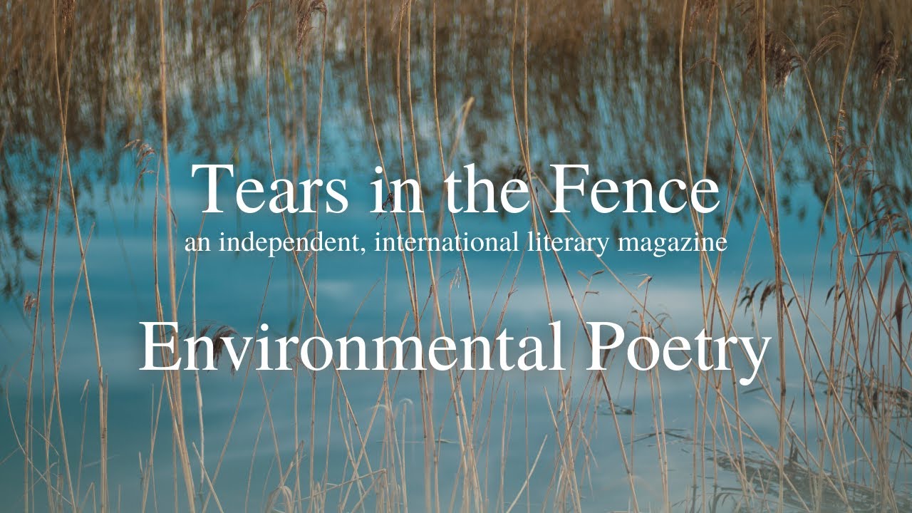 Environmental Poetry and Plenary - Tears in the Fence Literary Festival ...