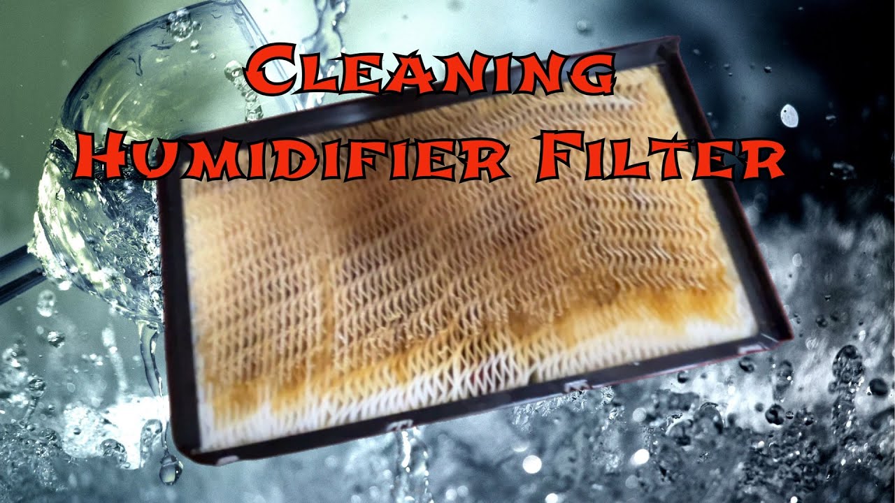 How to Clean Humidifier Filters - YouTube