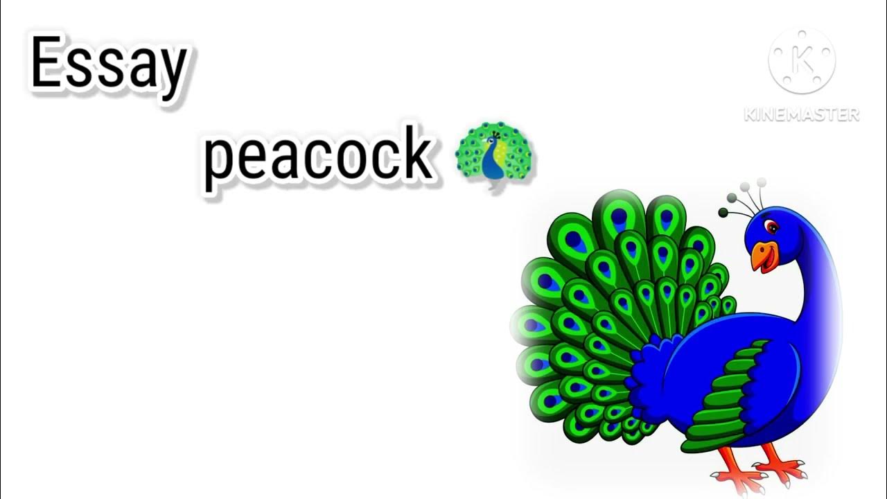 English Essay on peacock 🦚/Essay peacock 🦚 in English/paragraph on ...