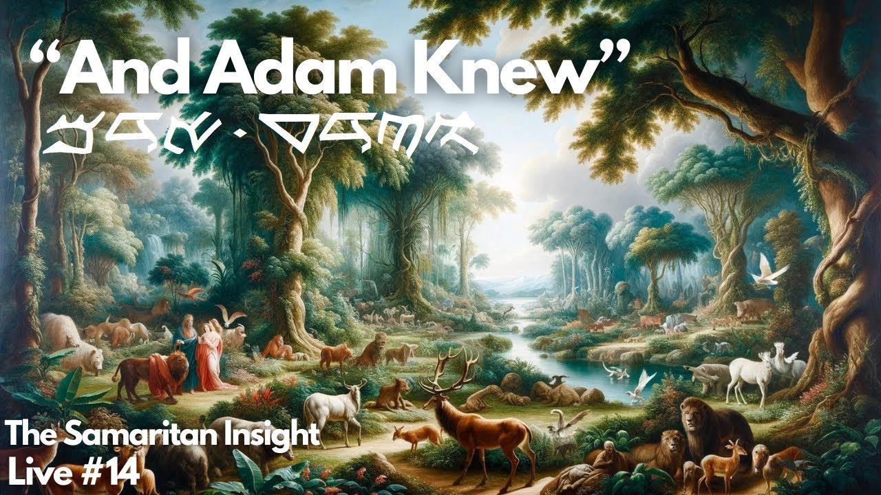 The Samaritan Insight: "And Adam Knew" | Live #14 - YouTube