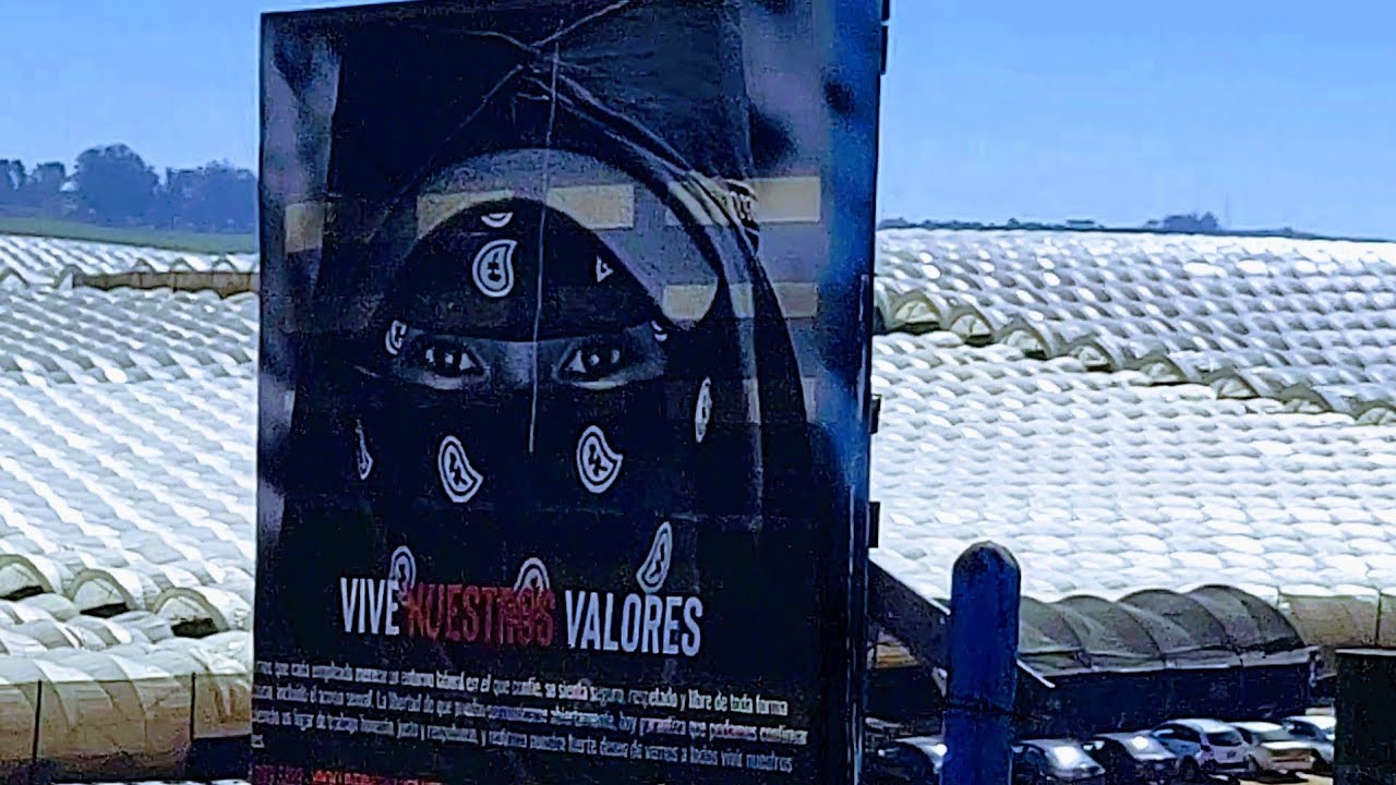 SANTA MARIA AGRICULTURE PART 4 - YouTube