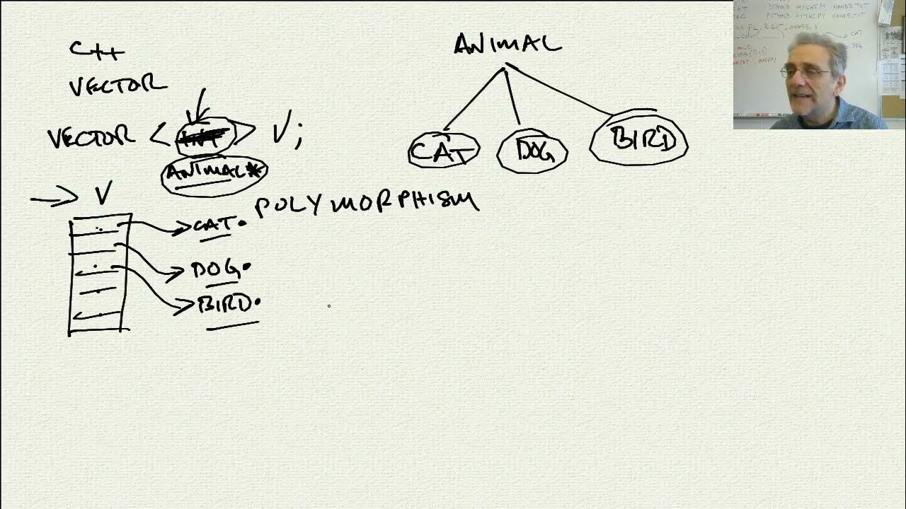 CS3 Lesson 19B: OOP Functions - YouTube