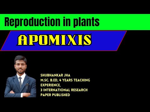 Apomixis-Types: Recurrent, Non-recurrent & Adventive type of apomixis ...