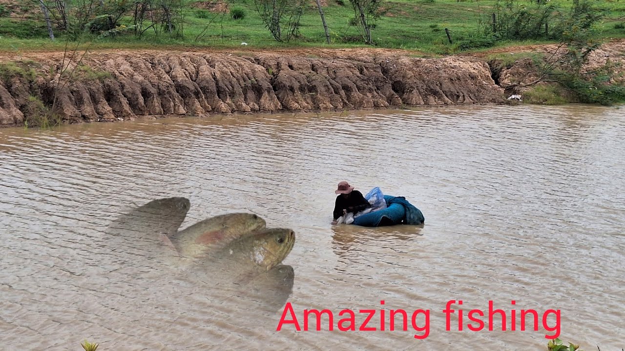 Real Life 100% Net Fishing In river At The Countryside. - YouTube