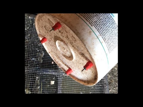 How To Keep Your Duck House As Dry As Possible - Watering system For ...