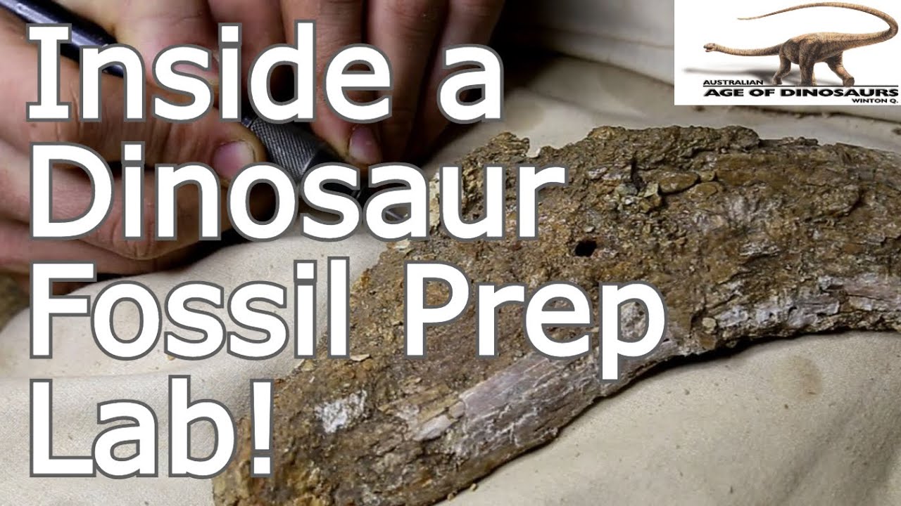 Earth Science Week: Inside a Dinosaur Prep Lab - YouTube