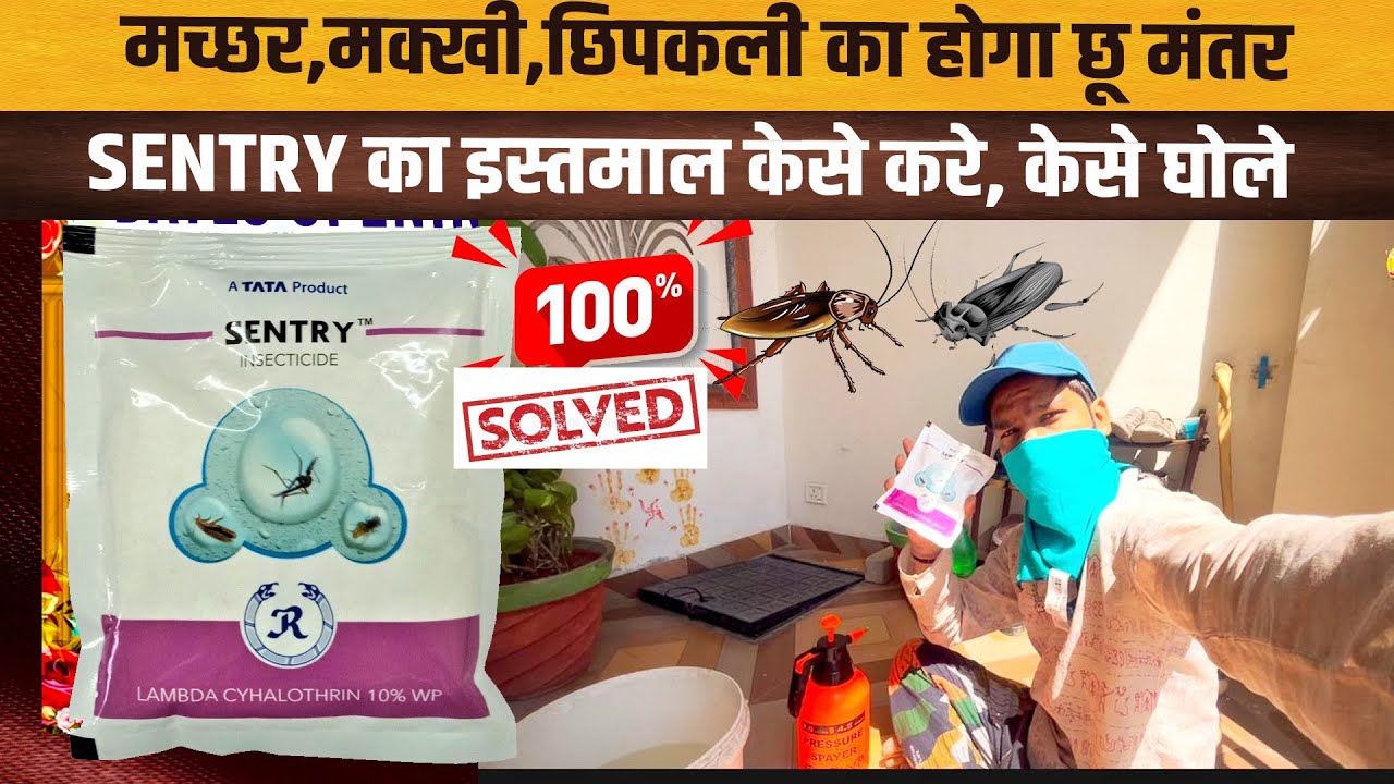 मच्छर मक्खी कीड़े मारने की दवा। Tata Sentry for Mosquito Control I How ...