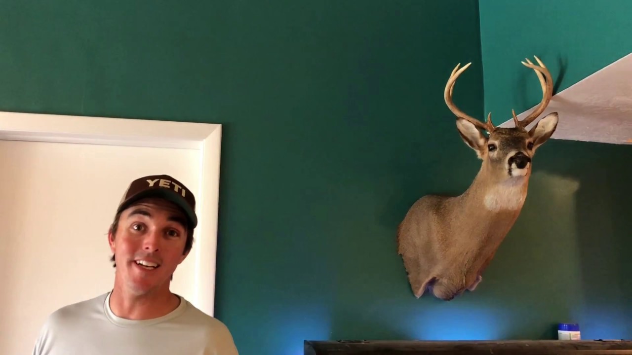 South Carolina part 2 (Nick’s first Buck!) - YouTube