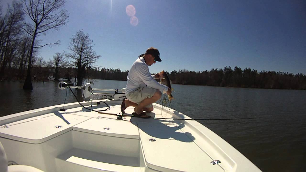 Santee Cooper - Bass on Big Bite Baits - Cane Thumper - YouTube