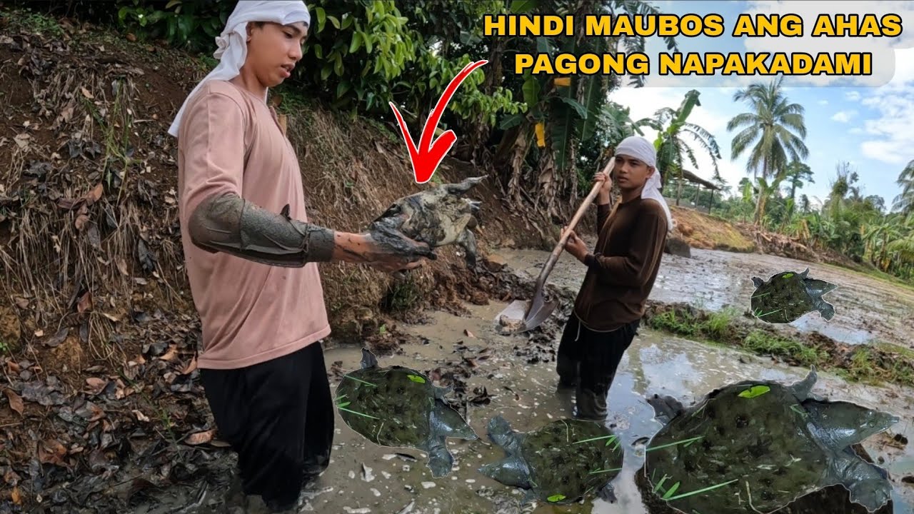 AHAS PAGONG NAGLABASAN SA PAG PAPALA NG TABING PALAYAN - YouTube