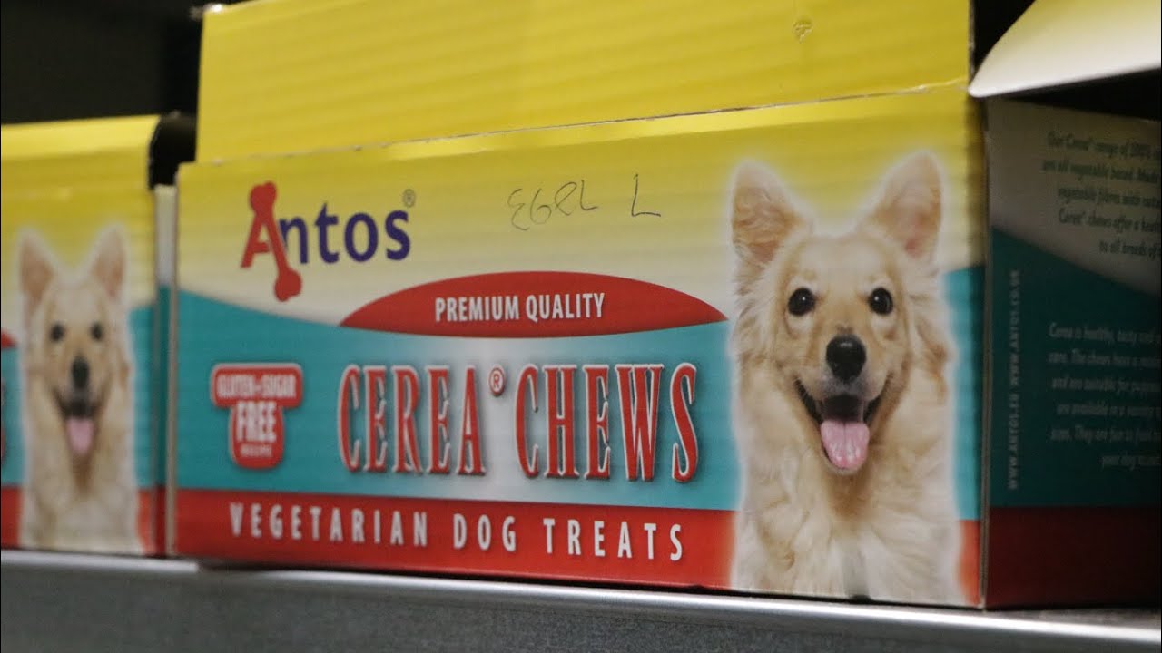 Video met Rick Scholtes over VegaVriend - YouTube