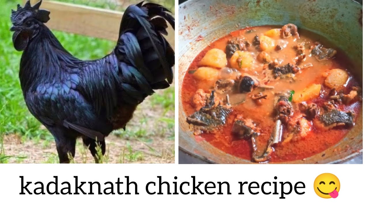 Kadaknath chicken recipe 😋. Black meat recipe. - YouTube
