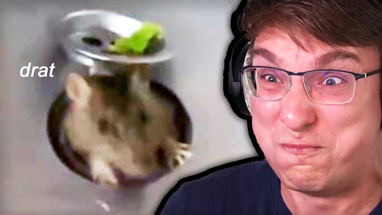 If I Laugh at Your CURSED Memes, The Video Ends. - YouTube