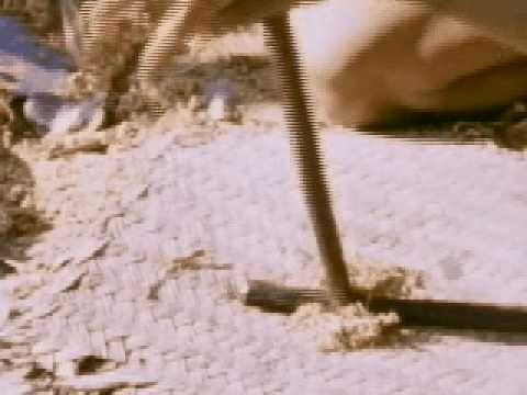 Quem são os Xetá? (Parte 7)