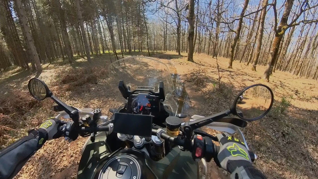 Βολτα στο Δασος φολοης | tiger 1200 rally pro & bmw gs 1250 - YouTube