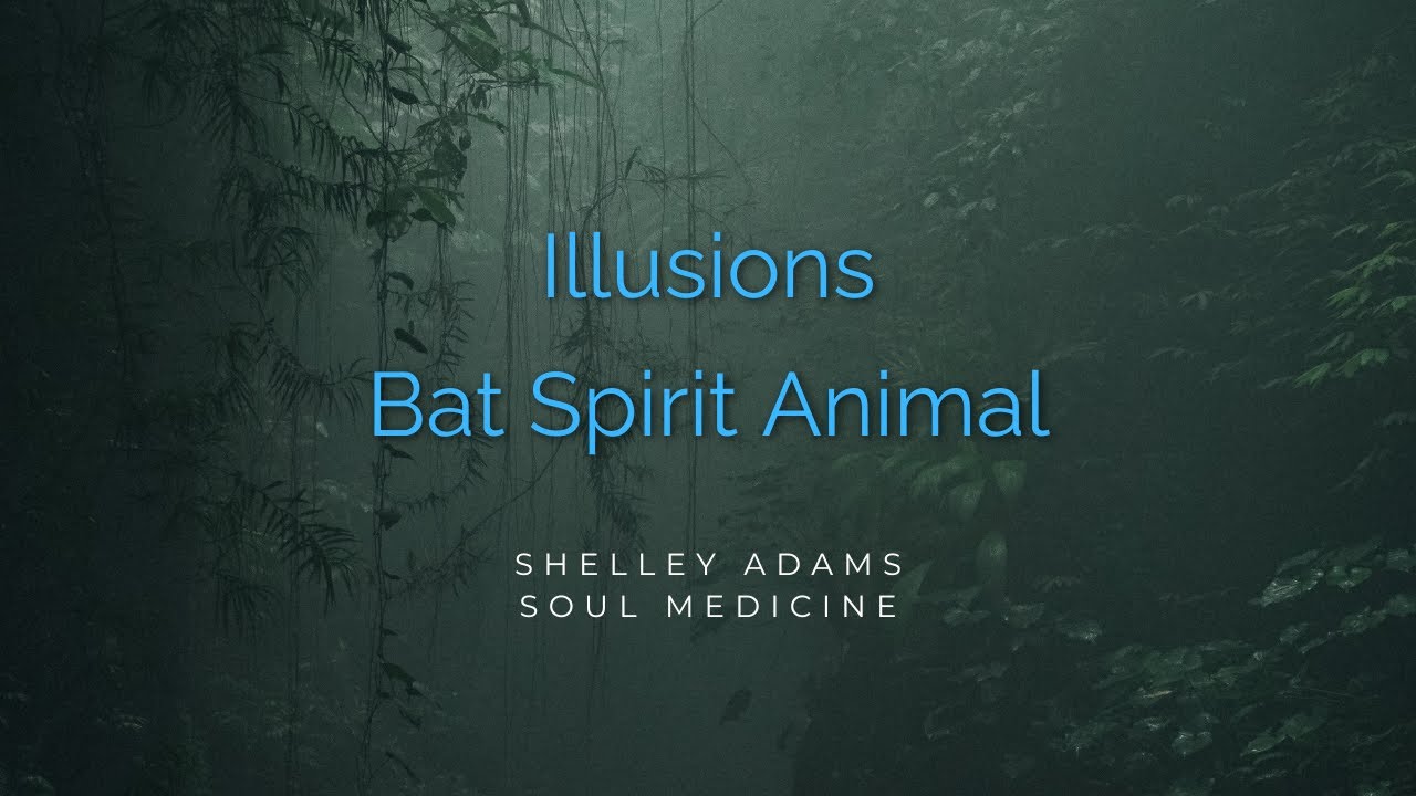 Shelley Adams - Soul Medicine - Illusions - YouTube