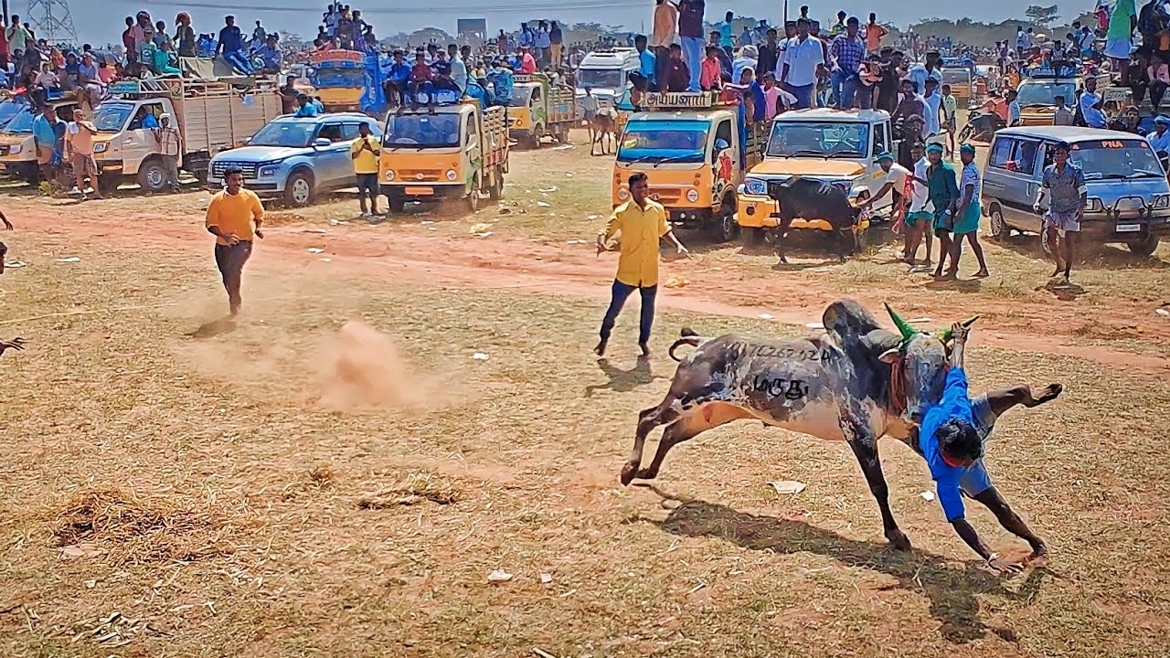 Siravayal Manjuvirattu 🐄🌾🪅 - YouTube