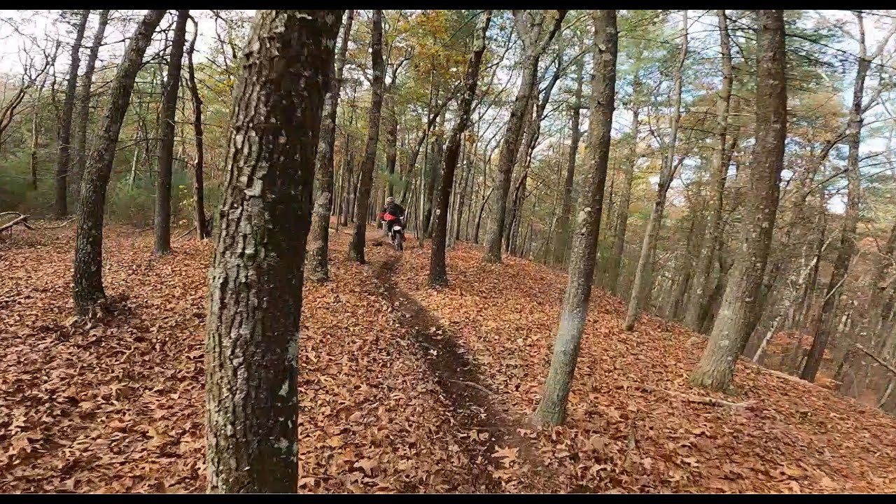 Wrentham MA. King Philip Turkey Run 11-5-23 - YouTube