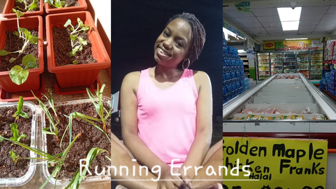 Running Errands | Planting My New Veggies - YouTube