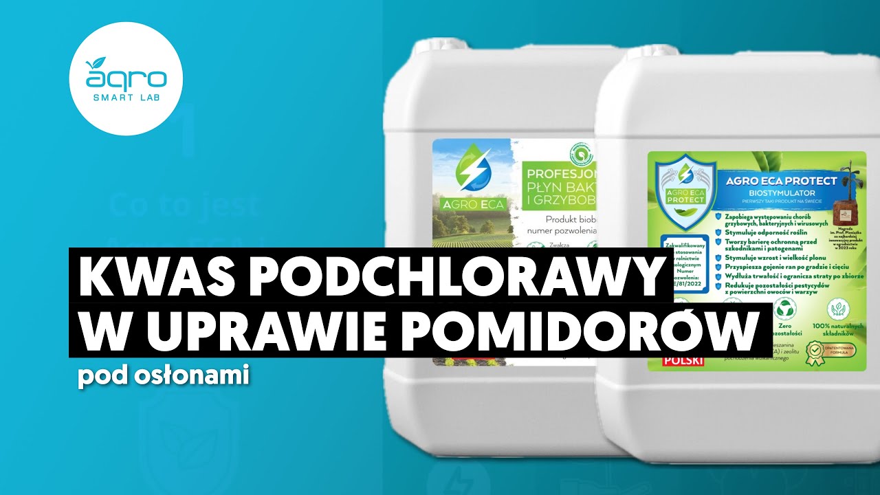 Kwas Podchlorawy W Uprawie Pomidorów Pod Osłonami - YouTube