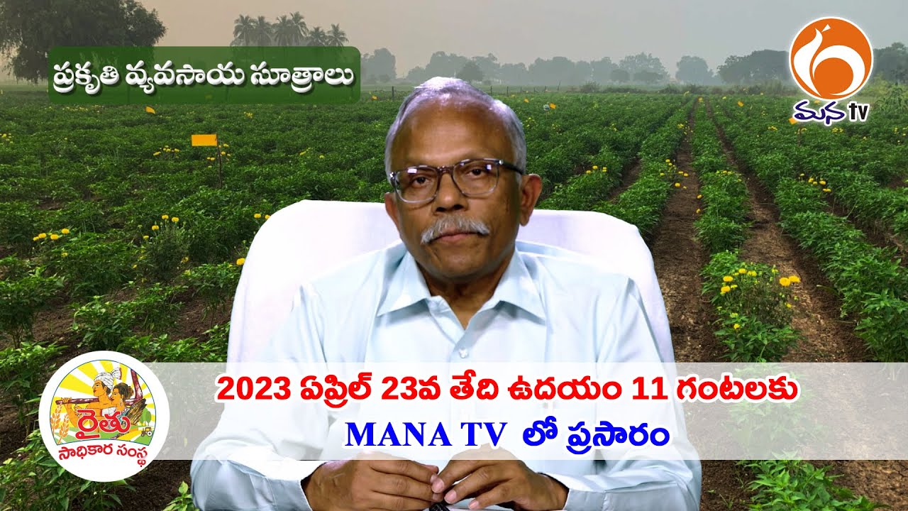 ప్రకృతి వ్యవసాయం ||EI Nino impact on Agriculture and Natural Farming II ...