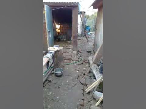 Куриные бега - YouTube