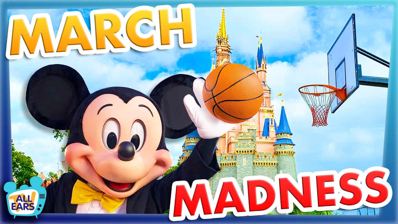 Disney World Bracket -- The BEST Ride, Restaurant, Hotel and More - YouTube