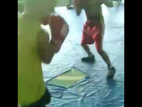 Bokus vüsal vs tural