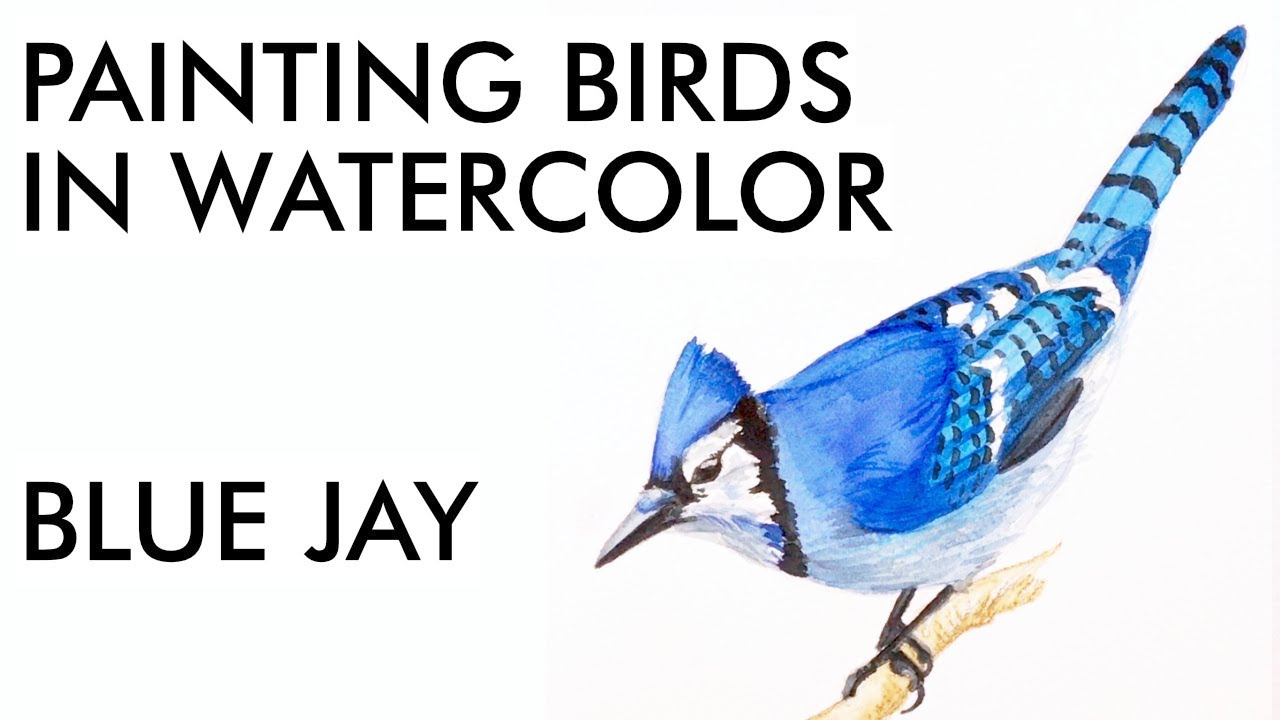 YT Painting a Blue Jay in Watercolor | painting demo - YouTube