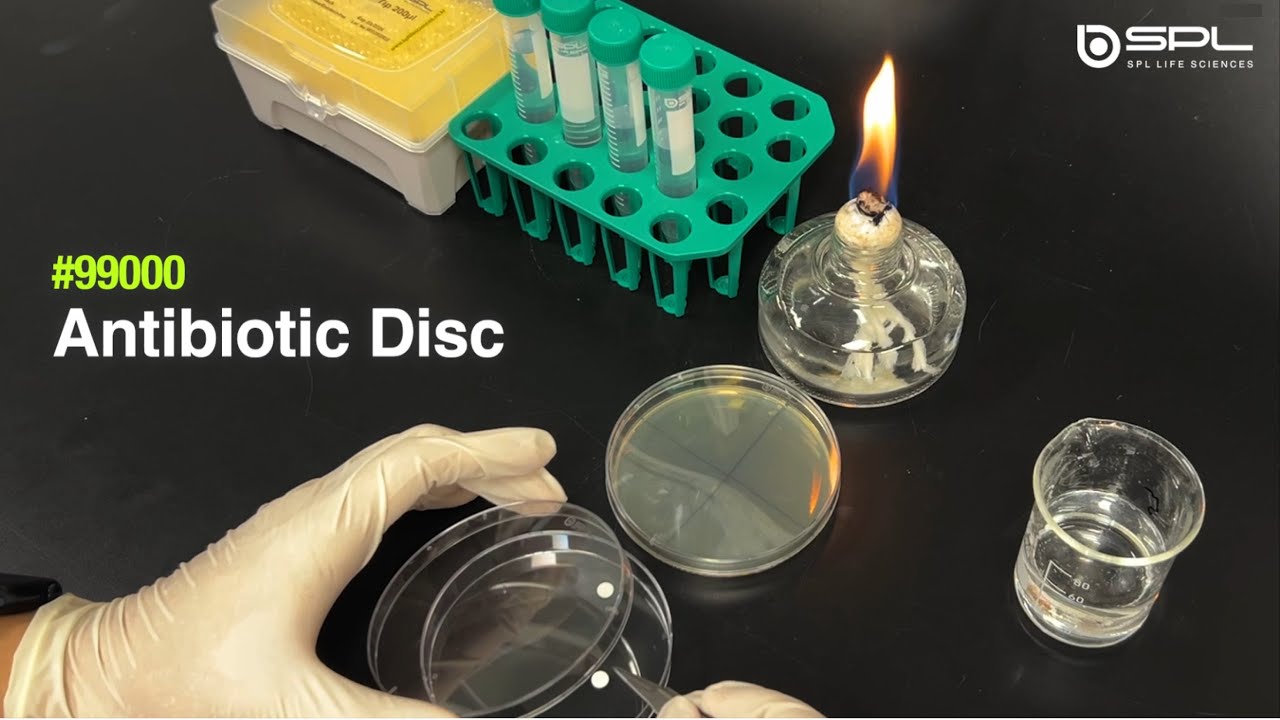 Antibiotic Disc - YouTube
