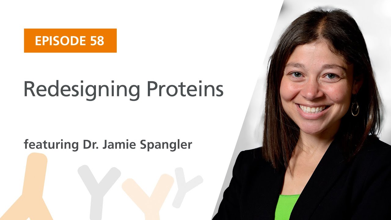 Redesigning Proteins featuring Dr. Jamie Spangler | The Immunology ...