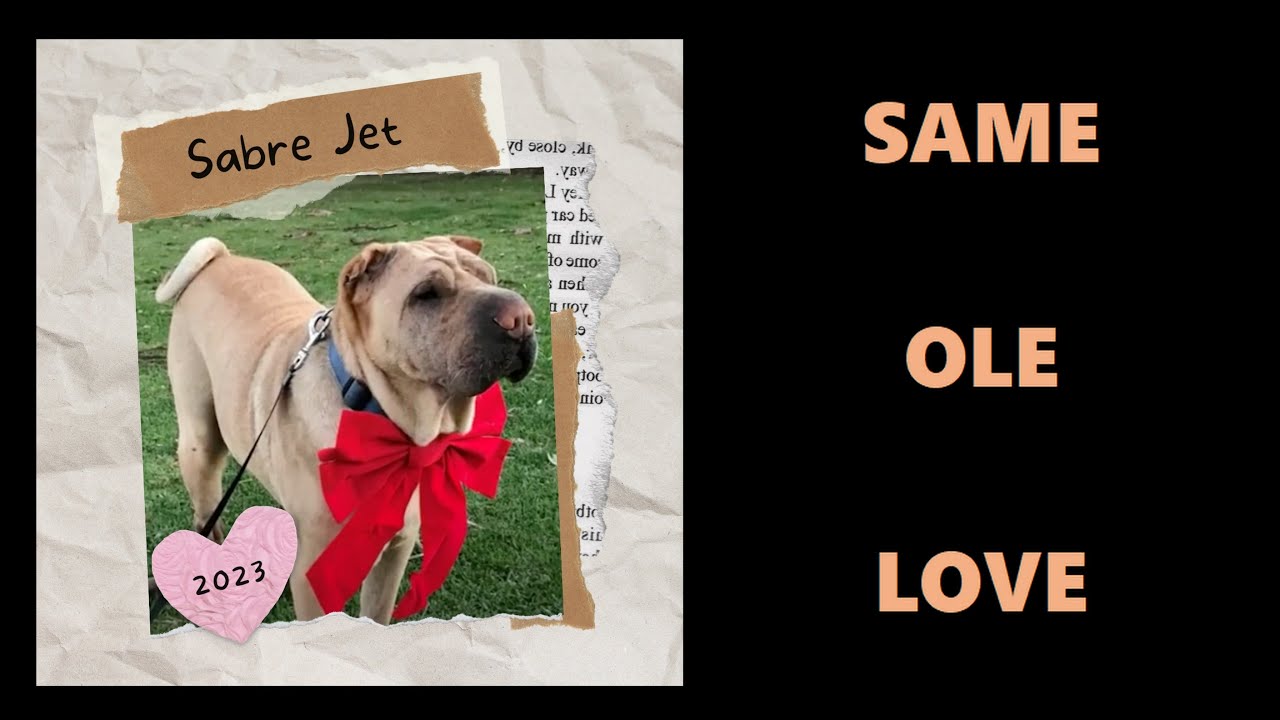 Sabre Jet ~ Same Ole Love - YouTube