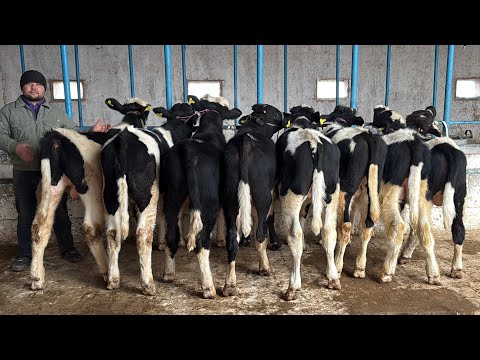 🤝Ola Paroda Ishqibozlariga Udar Mollar Sotuvda ✅