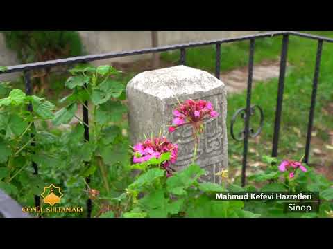 Mahmud Kefevi Hazretleri - Sinop | Gönül Sultanları