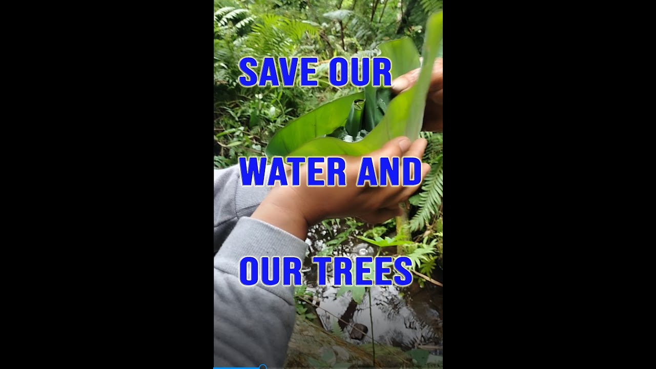 TREE PLANTING sa BUKID with MUFA (Maningcao United Farmers Association ...