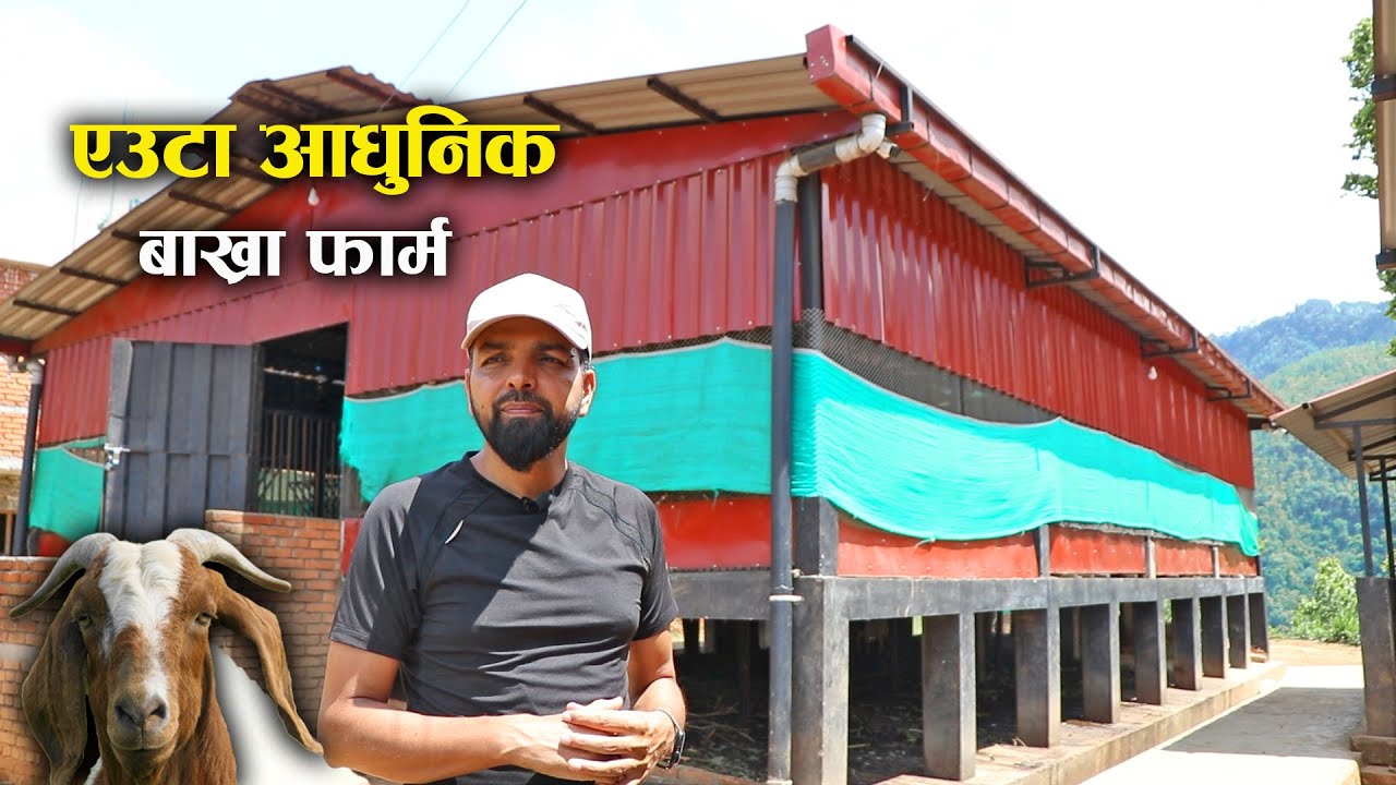 एउटा आधुनिक बाख्रा फार्मको भ्रमण - Shikhar danda krishi tatha Pashu ...
